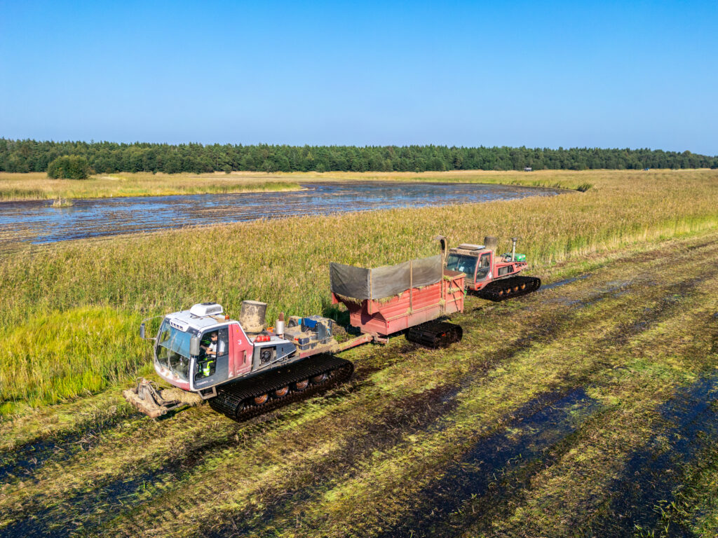 Baltic Reed workshop: From innovation to product - Central Baltic